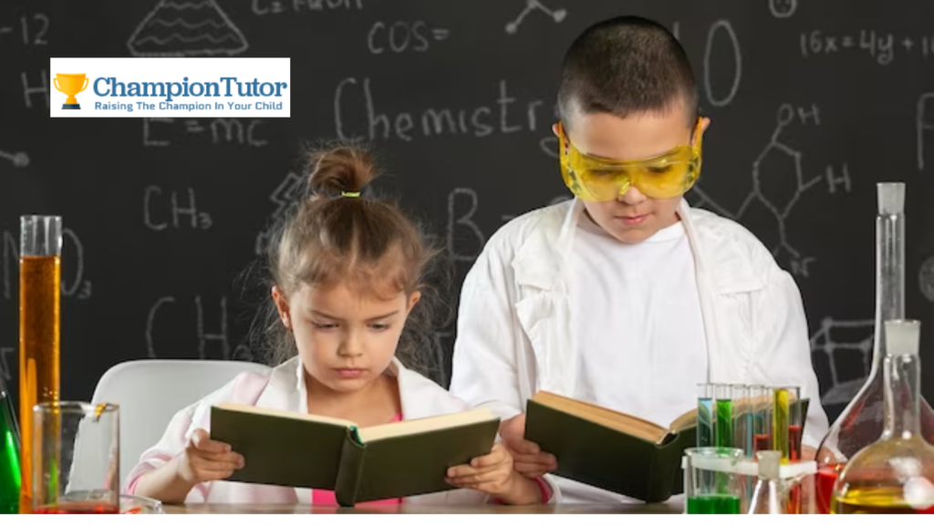 Empower Your Child: How to Choose a Primary School Science Tuition ...