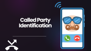 Calling Party and Called Party Identification System - Heat Caster